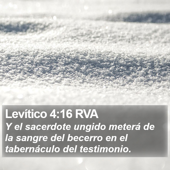 Levítico 4:16 RVA - Y el sacerdote ungido meterá de la sangre del