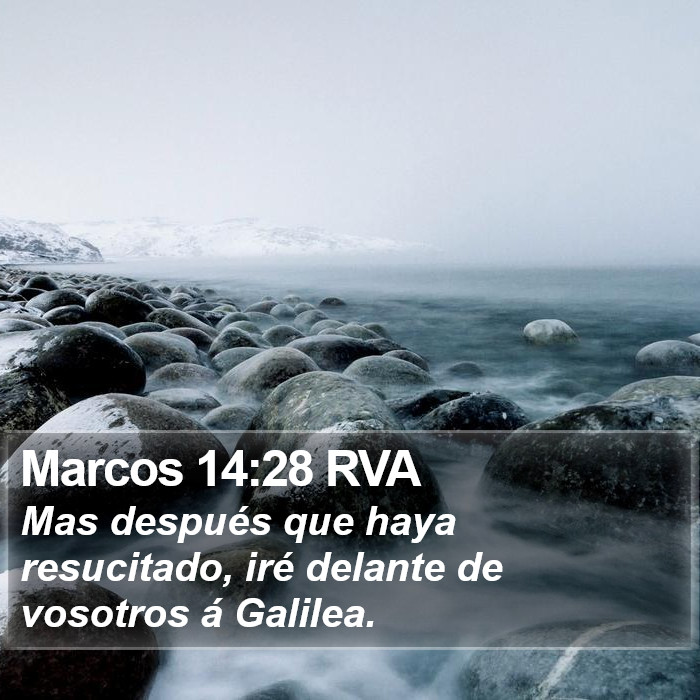 Marcos 14:28 RVA - Mas después que haya resucitado, iré delante de