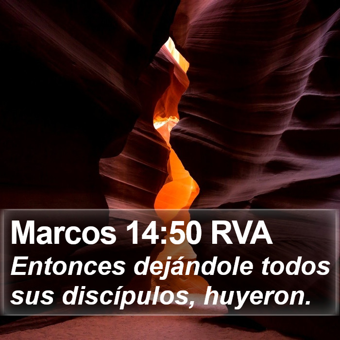 Marcos 14:50 RVA - Entonces dejándole todos sus discípulos,