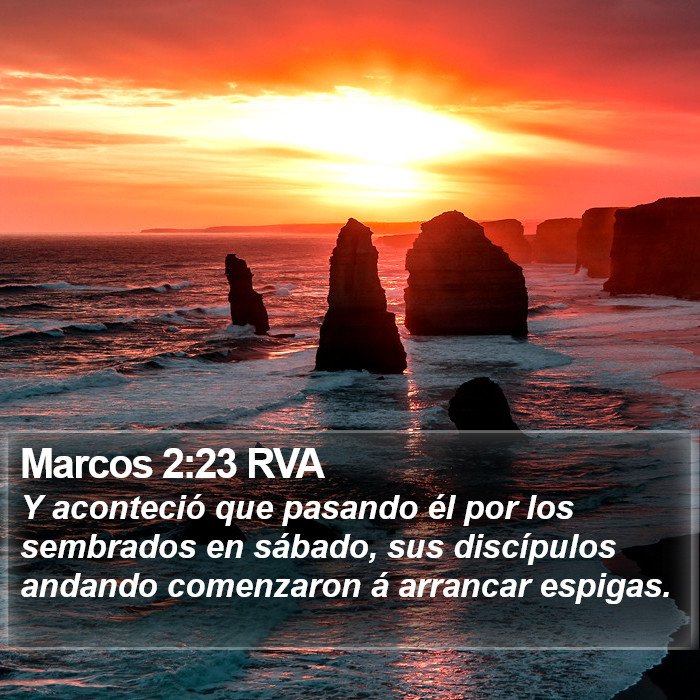 Marcos 2:23 RVA - Y aconteció que pasando él por los sembrados en