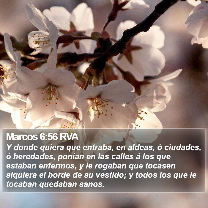 Marcos 6 Bible Images - Marcos Chapter 6 RVA Bible Verse Pictures