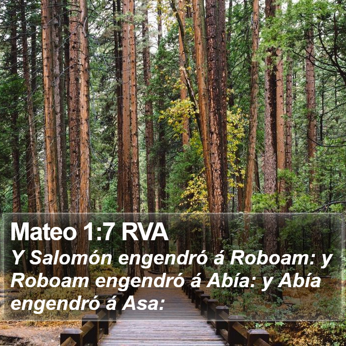 Mateo 1:7 RVA - Y Salomón engendró á Roboam: y Roboam