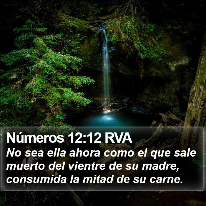 Números 12:12 RVA - No sea ella ahora como el que sale muerto del
