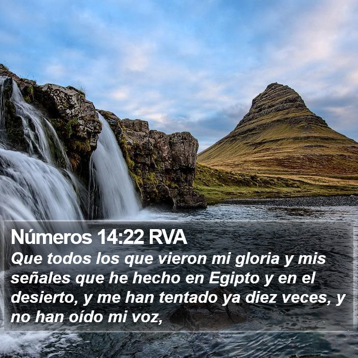 Números 14:22 RVA - Que todos los que vieron mi gloria y mis señales