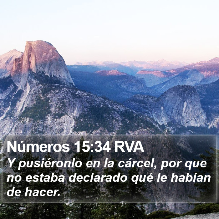 Números 15:34 RVA - Y pusiéronlo en la cárcel, por que no estaba