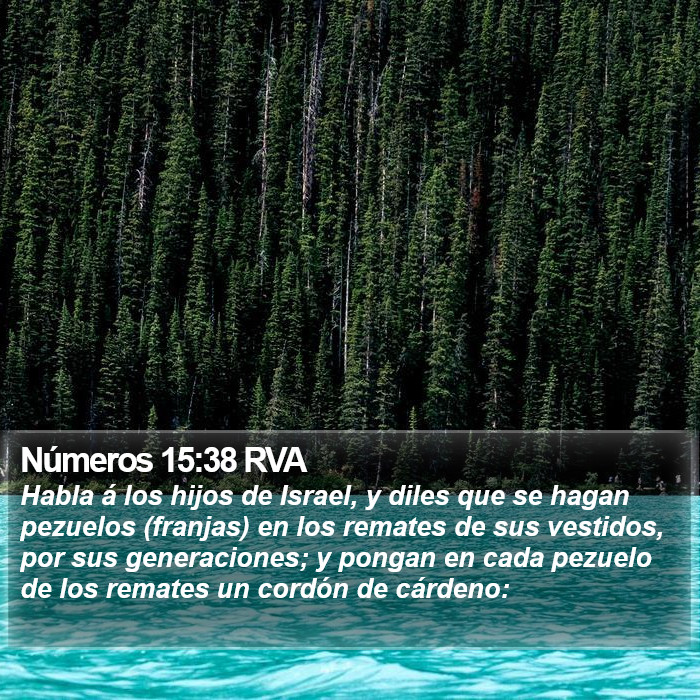 Números 15:38 RVA - Habla á los hijos de Israel, y diles que se