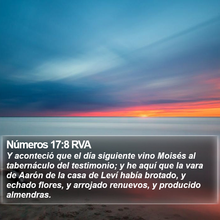 Números 17:8 RVA - Y aconteció que el día siguiente vino Moisés