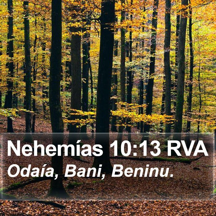 Nehemías 10:13 RVA - Odaía, Bani,