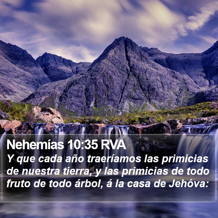 Nehemías 10:35 RVA - Y que cada año traeríamos las primicias de