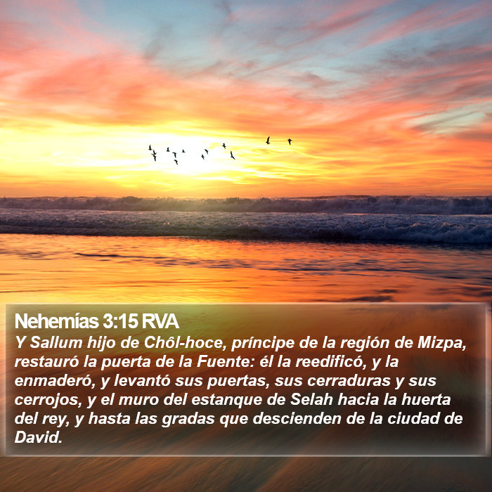 Nehemías 3:15 RVA - Y Sallum hijo de Chôl-hoce, príncipe de la