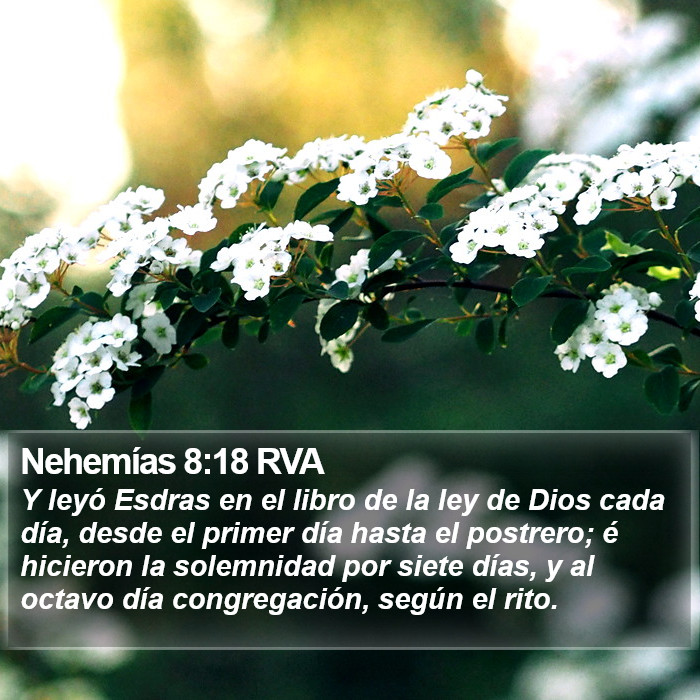 Nehemías 8 Bible Images - Nehemías Chapter 8 RVA Bible Verse Pictures