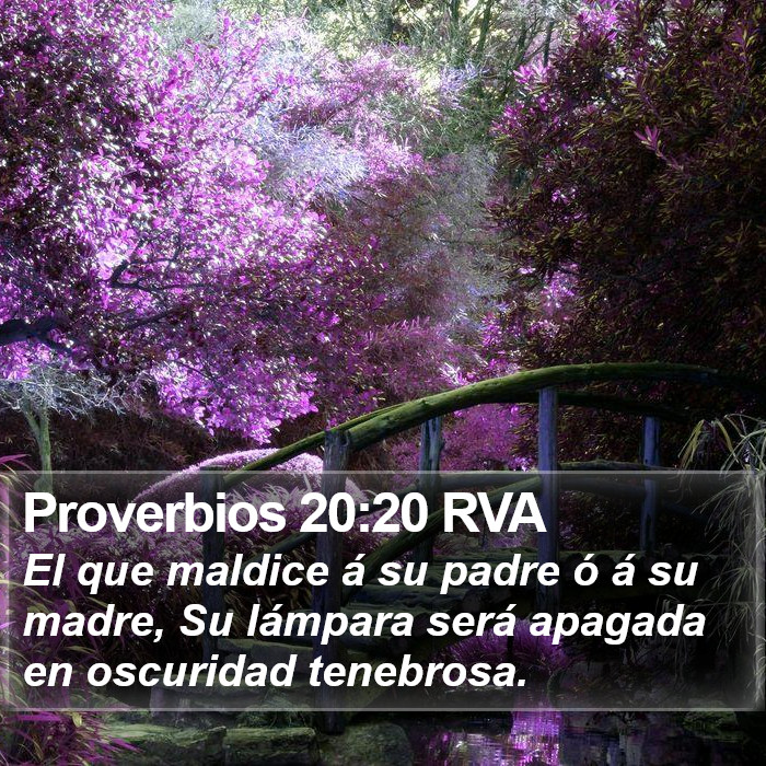 Proverbios 20:20 RVA - El que maldice á su padre ó á su madre, Su