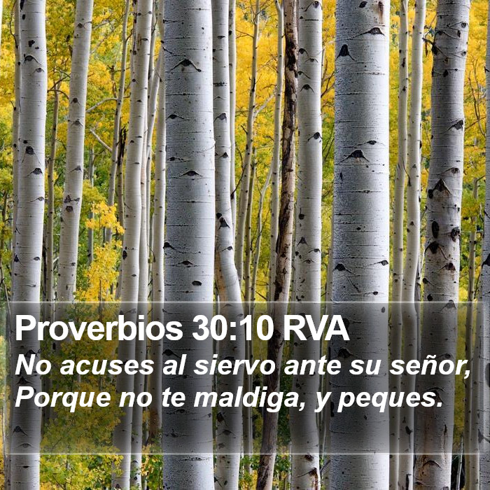 Proverbios 30:10 RVA - No acuses al siervo ante su señor, Porque no te