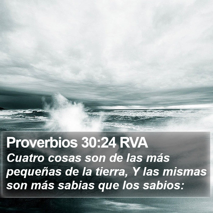 Proverbios 30:24 RVA - Cuatro cosas son de las más pequeñas de la