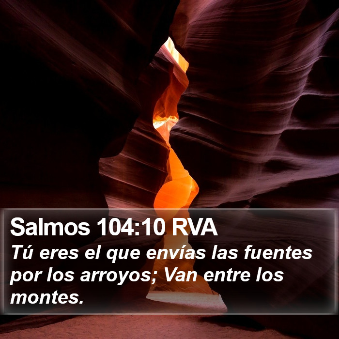 Salmos 104:10 RVA - Tú eres el que envías las fuentes por los