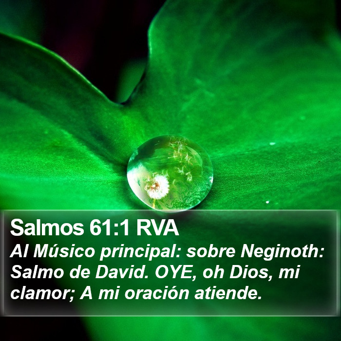 Salmos 61:1 RVA - Al Músico principal: sobre Neginoth: Salmo de