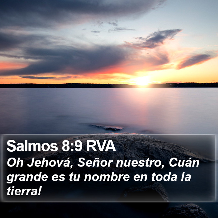 Salmos 8 Bible Images - Salmos Chapter 8 RVA Bible Verse Pictures