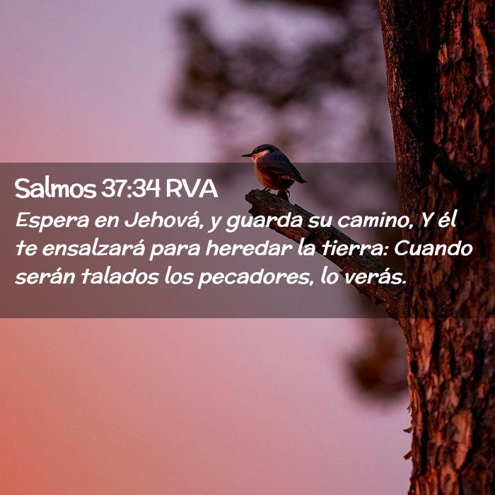 Salmos 37:34 RVA - Espera en Jehová, y guarda su camino, Y él te