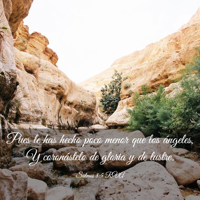 Salmos 8:5 RVA - Pues le has hecho poco menor que los ángeles, Y