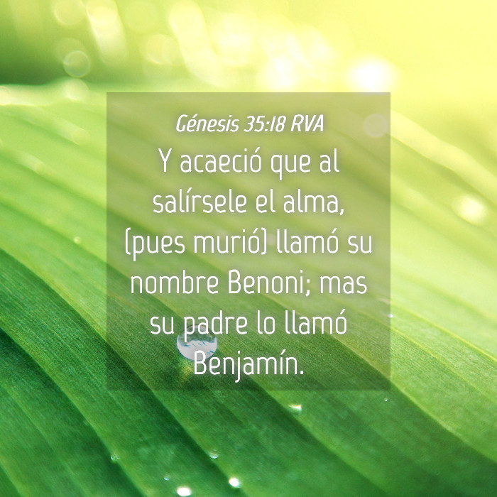 Génesis 35:18 RVA - Y acaeció que al salírsele el alma, (pues