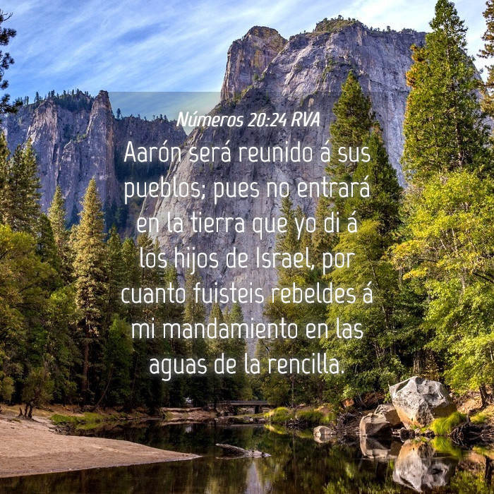 Números 20:24 RVA - Aarón será reunido á sus pueblos; pues no