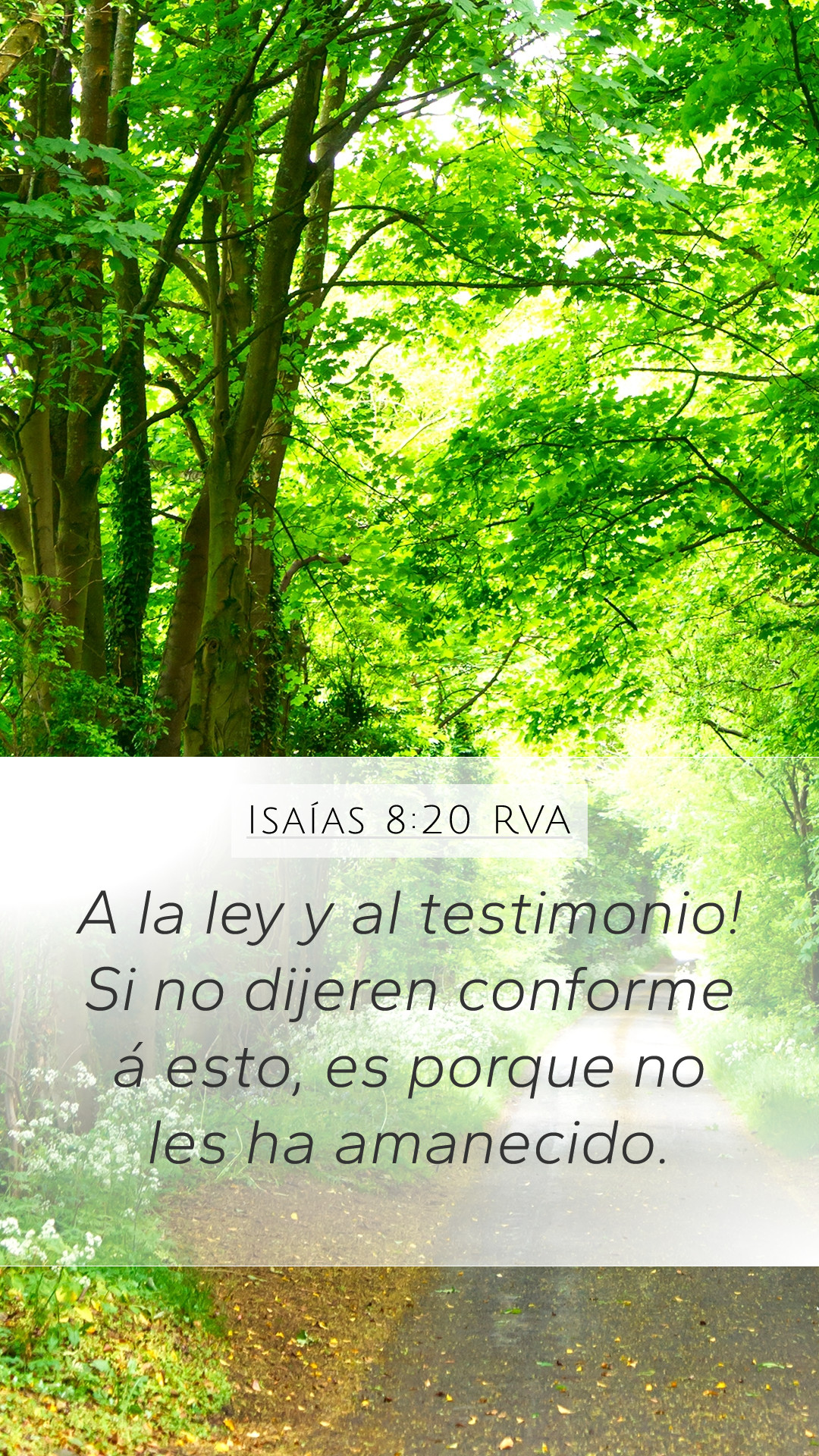 Isaías 8:20 RVA Mobile Phone Wallpaper - A la ley y al testimonio! Si ...